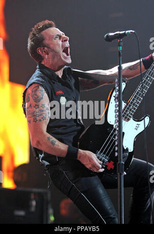 Mike Dirnt with Green Day performs in concert at the American Airlines ...