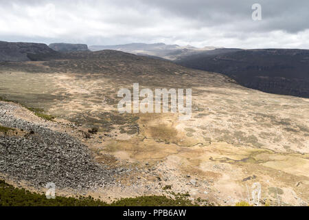Afroalpine and Subafroalpine zones, Sanetti Plateau, Bale Mountains ...
