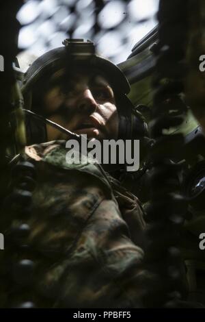 A U.S. Army reconnaissance vehicle commander observes wooded terrain ...