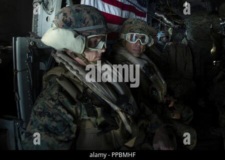 Colonel Robert “Bams” Brodie, the 31st Marine Expeditionary Unit ...