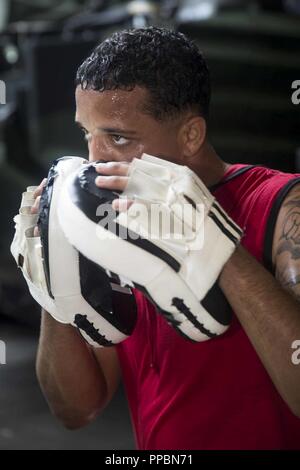 US Navy U.S. Navy boxing team member Stock Photo - Alamy