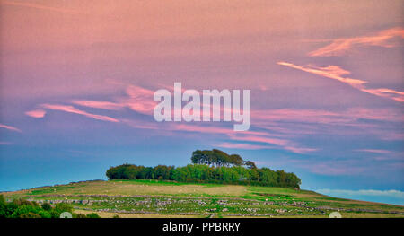 Trees at Minninglow a neolithic prehistoric burial ground near Parwich ...