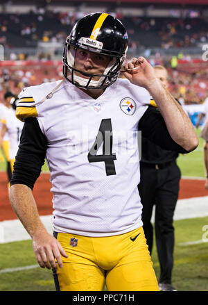 Pittsburgh Steelers punter Jordan Berry (4) celebrates a punt against ...