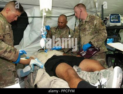 Soldiers with the 131st Field Hospital, 528th Hospital Center, assess a ...
