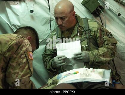 Soldiers with the 131st Field Hospital, 528th Hospital Center, assess a ...
