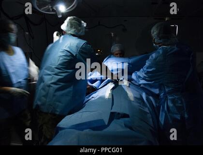 Soldiers with the 131st Field Hospital, 528th Hospital Center, assess a ...