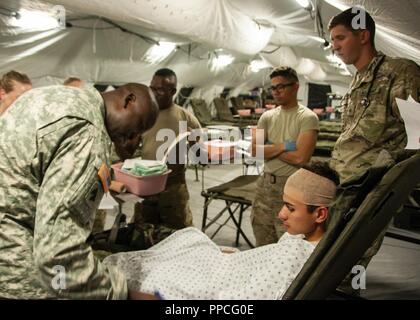 Soldiers with the 131st Field Hospital, 528th Hospital Center, assess a ...