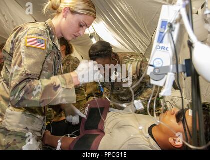 Soldiers with the 131st Field Hospital, 528th Hospital Center, assess a ...