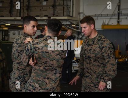 U.S. Marine Corps Sgt. Nicolas Wagner, a fire power control team ...