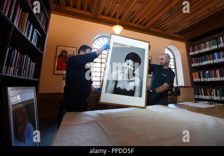 University of Cambridge Library carpenters hang a portrait of the ...