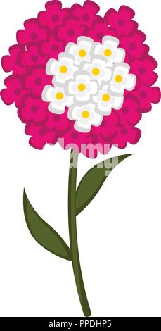 Verbena flower icon. Cartoon of verbena flower vector icon for web ...