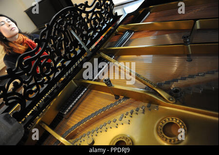 Richard WAGNER - playing piano Steinway Grand Piano German composer ...