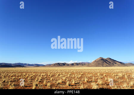 A wide open desert landscape in Namibia Stock Photo - Alamy
