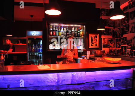 Barmaid behind the counter of the "Baby Jane" bar at Reichenbachstrasse ...