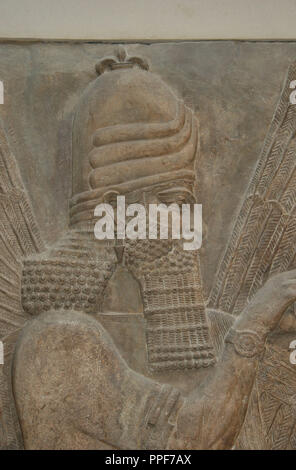 Assyrian wall relief of a winged genius. Ancient carving panel from the ...