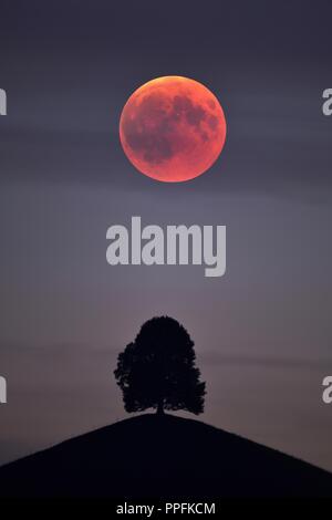 Bloodmoon, total lunar eclipse, double exposure with tree on moraine ...