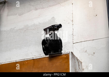 Crow dissected converted into CCTV camera in the workplace for artists ...