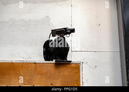 Crow dissected converted into CCTV camera in the workplace for artists ...