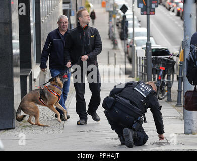manhole covers in berlin Stock Photo - Alamy