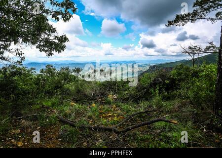 Santa Barbara con vista a Munihusa **** Reserva Monte Mojino (ReMM) de ...