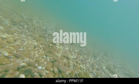 Photo underwater bottom of the Black sea with stones and pebbles in ...
