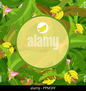 Vector round frame with cute exotic animals, leaves, flowers, fruits ...