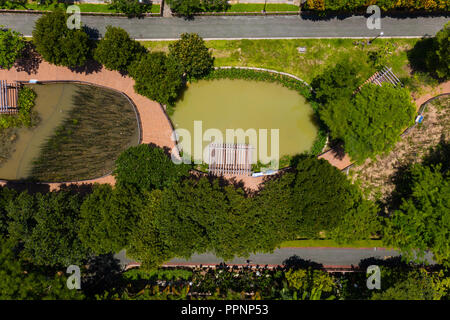 Aerial landscaping view of Alexandra Canal linear park. Active ...