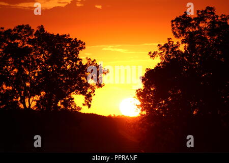 Sunrise sunlight sunburst behind trees forest woods in morning with ...