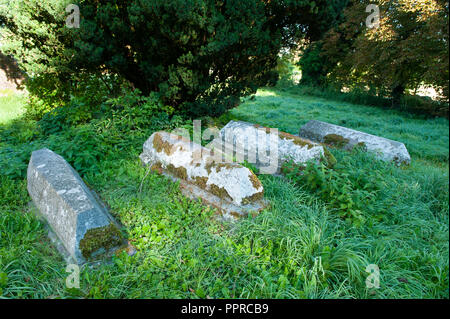 Coffin shaped stone graves with lichen at Old St Leonards Church ...