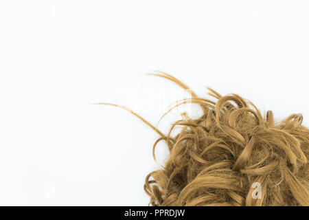 Blonde curly hair tuft isolated on white background Stock Photo - Alamy