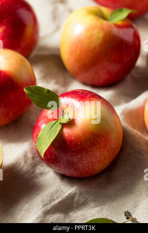 Raw Organic Red Apples Ready to Eat Stock Photo - Alamy