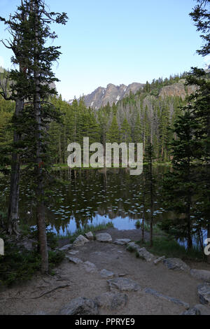 The Nymph Lake through pine trees in Rocky Mountain National Park ...