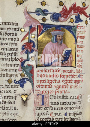 Initial T: Bust Portrait of a Bearded Man. Cristoforo Cortese (Italian ...