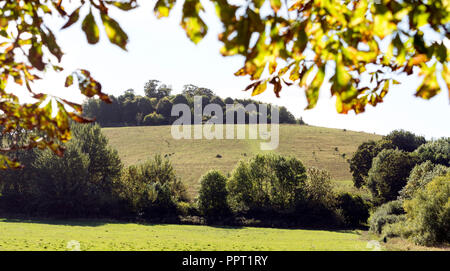 View from Wittenham Clumps Oxfordshire England Stock Photo - Alamy