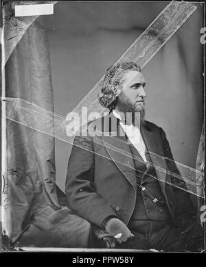 Brig. Gen. Dudley M. Du Bose, Ga., C.S.A Stock Photo - Alamy