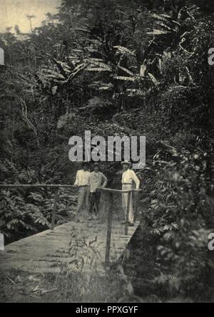 The artwork 'Bridge over a rivulet, Tahiti,' by Clement Lindley Wragge ...