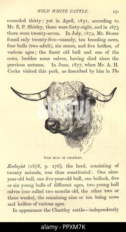 Extinct animals (Page 231 Stock Photo - Alamy