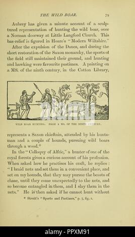 British animals extinct within historic times BHL12328758 Stock Photo ...