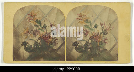 Flower arrangement; about 1865; Hand-colored Albumen silver print Stock ...
