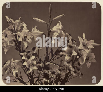 Flowers, Adolphe Braun (French, 1811 - 1877), about 1868, Albumen ...