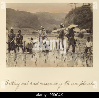 Setting out and manuring the rice plants, Shinichi Suzuki (Japanese ...