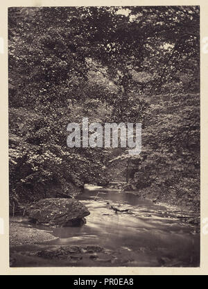 Forest stream, Arthur Brown (British, active 1850s), Saltburn-on-the ...