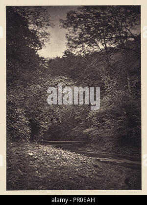 Forest scene, Arthur Brown (British, active 1850s), Saltburn-on-the-Sea ...