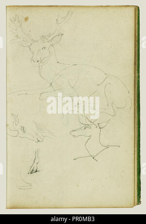 Studies of a seated stag, a fawn, a goat head. Théodore Géricault ...