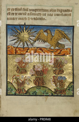 Five Bunches of Flowers, Norfolk perhaps (written), East Anglia ...