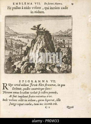 Emblema VII: Fit pullus a nido volans, qui iterum cadit in nidum ...