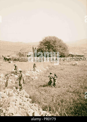 Northern views. Ruins at Shiloh Stock Photo - Alamy