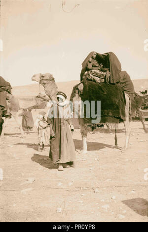 Bedouin wedding Bride's-maids on camel. 1900, the Bedouin are a ...