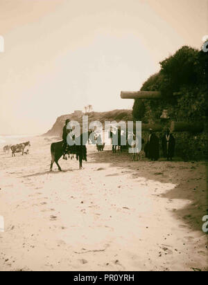 Southern Palestine. Ruins of Askalon. 1900, Israel, Ashḳelon Stock ...
