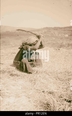 Woman threshing with flail. 1900 Stock Photo - Alamy